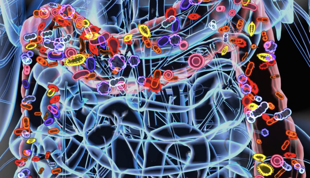 The Gut Microbiome Connection to Depression- Housecall with Dr. David ...